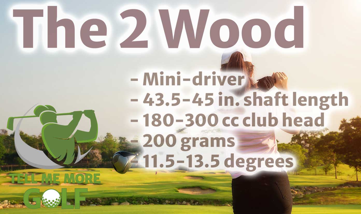 2 Wood Vs. Driver — Which is Best for Your Golf Game in 2024?